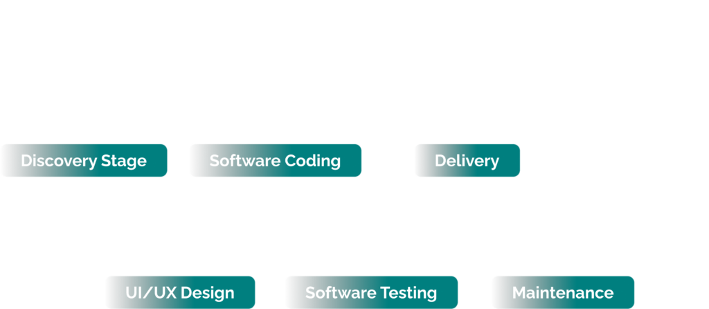 Custom Enterprise Software Development Services | Savvycom